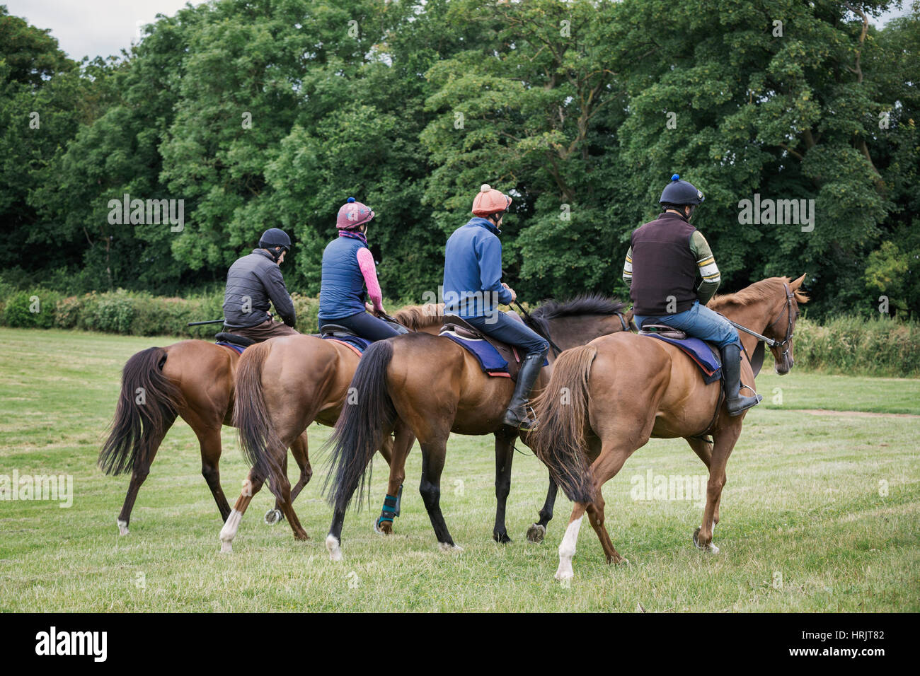 A string or group of riders on thoroughbred horses riding along a path ...