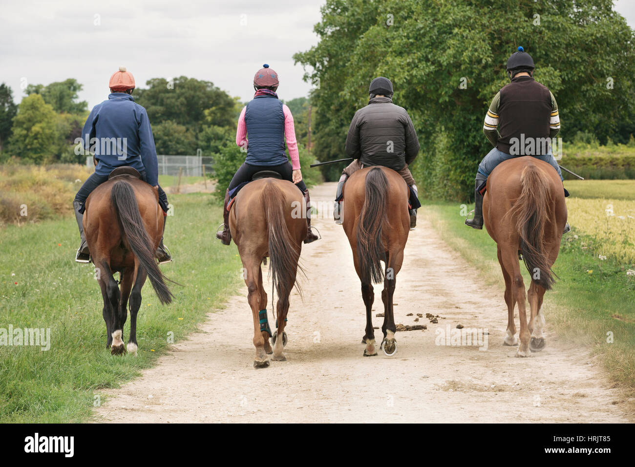 A string or group of riders on thoroughbred horses riding along a path ...