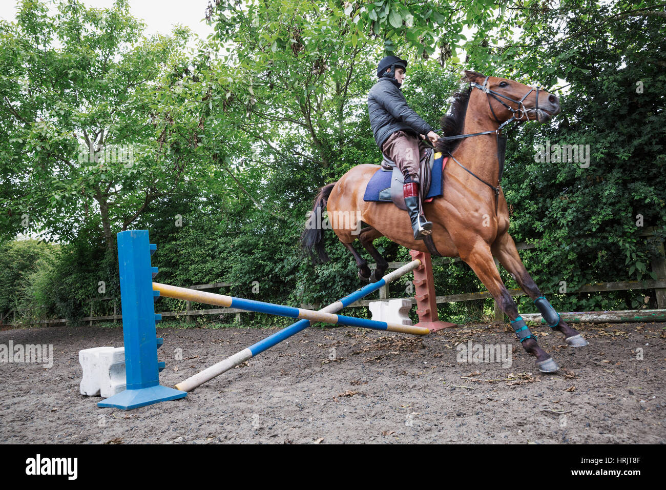Hurdle race side view hi-res stock photography and images - Alamy