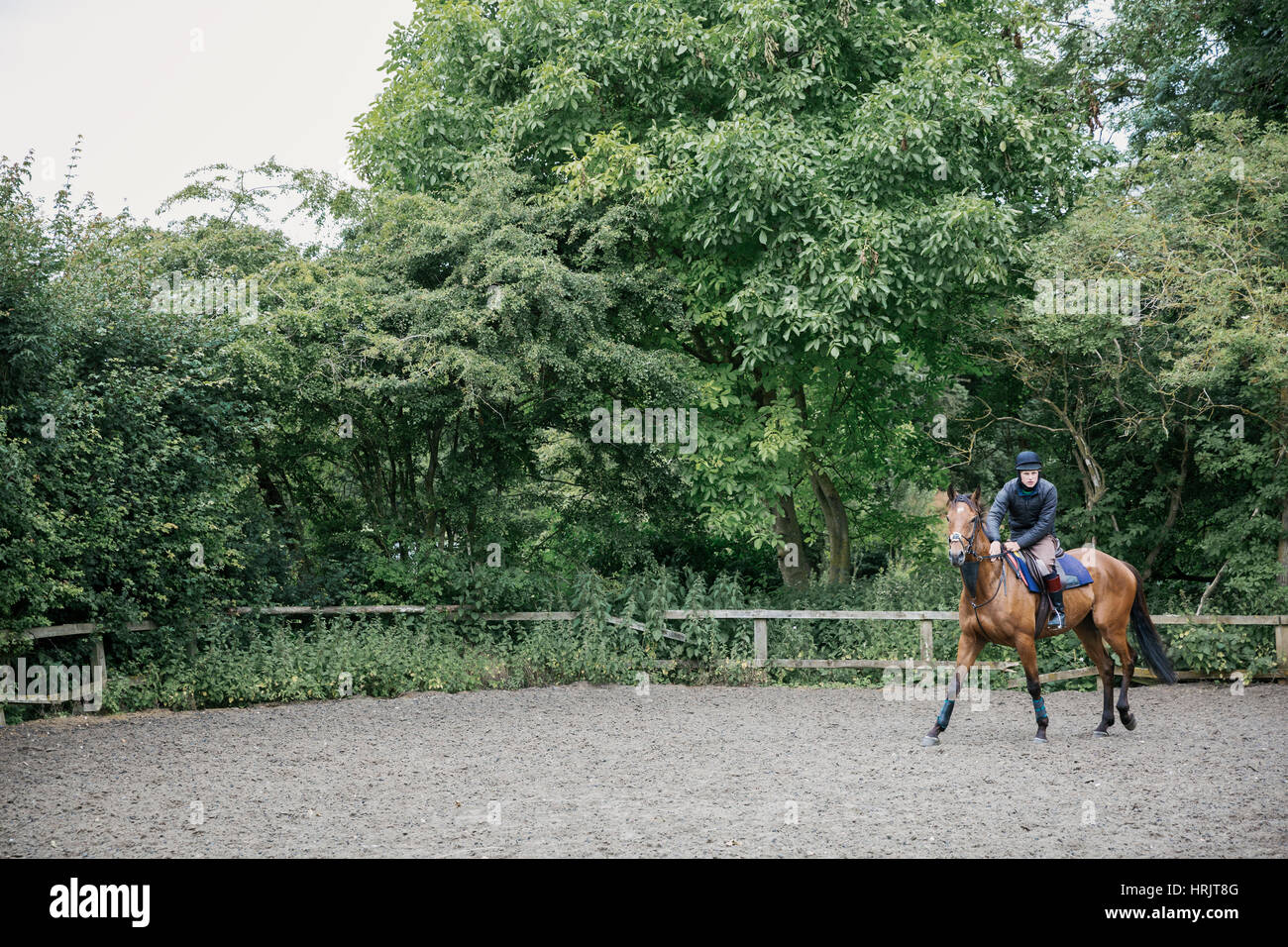 Man riding a brown horse in a paddock Stock Photo - Alamy