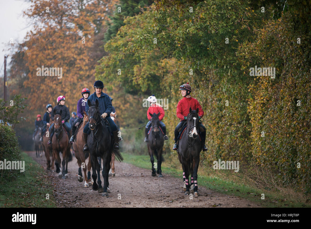 Exercise riders training hi-res stock photography and images - Alamy