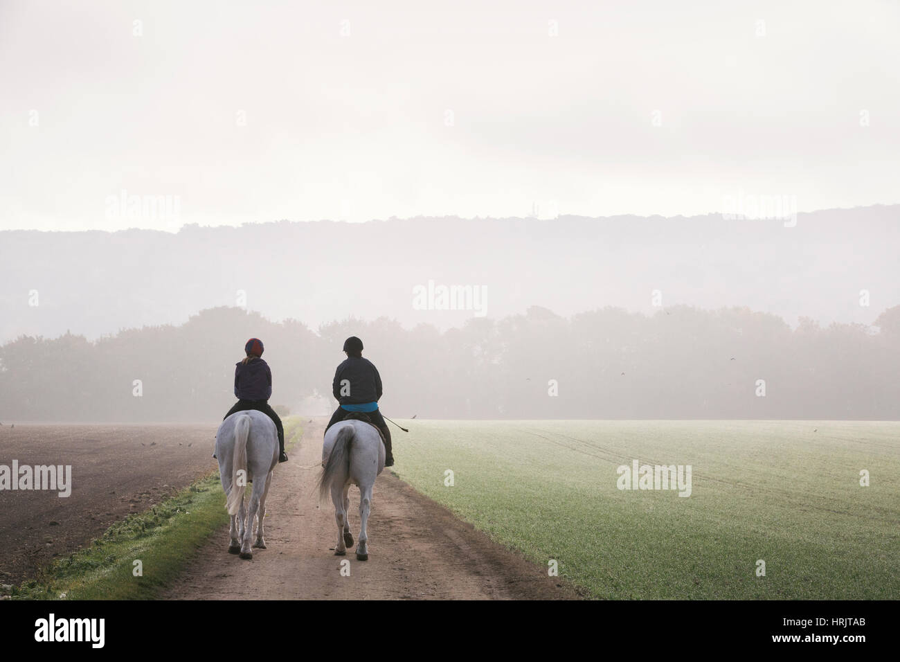 Rear view of two riders on white horses riding along a path through a ...