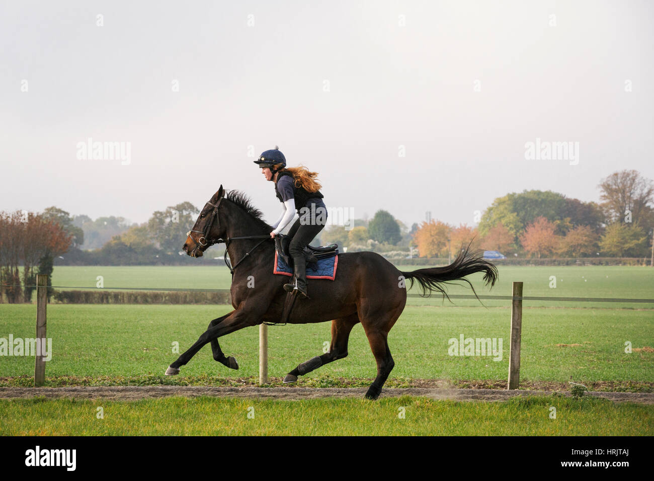 Woman riding a bay horse along a track. Side view Stock Photo - Alamy