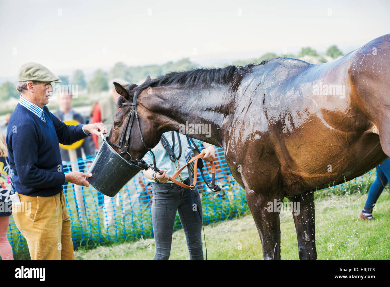 Stableboy hi-res stock photography and images - Alamy