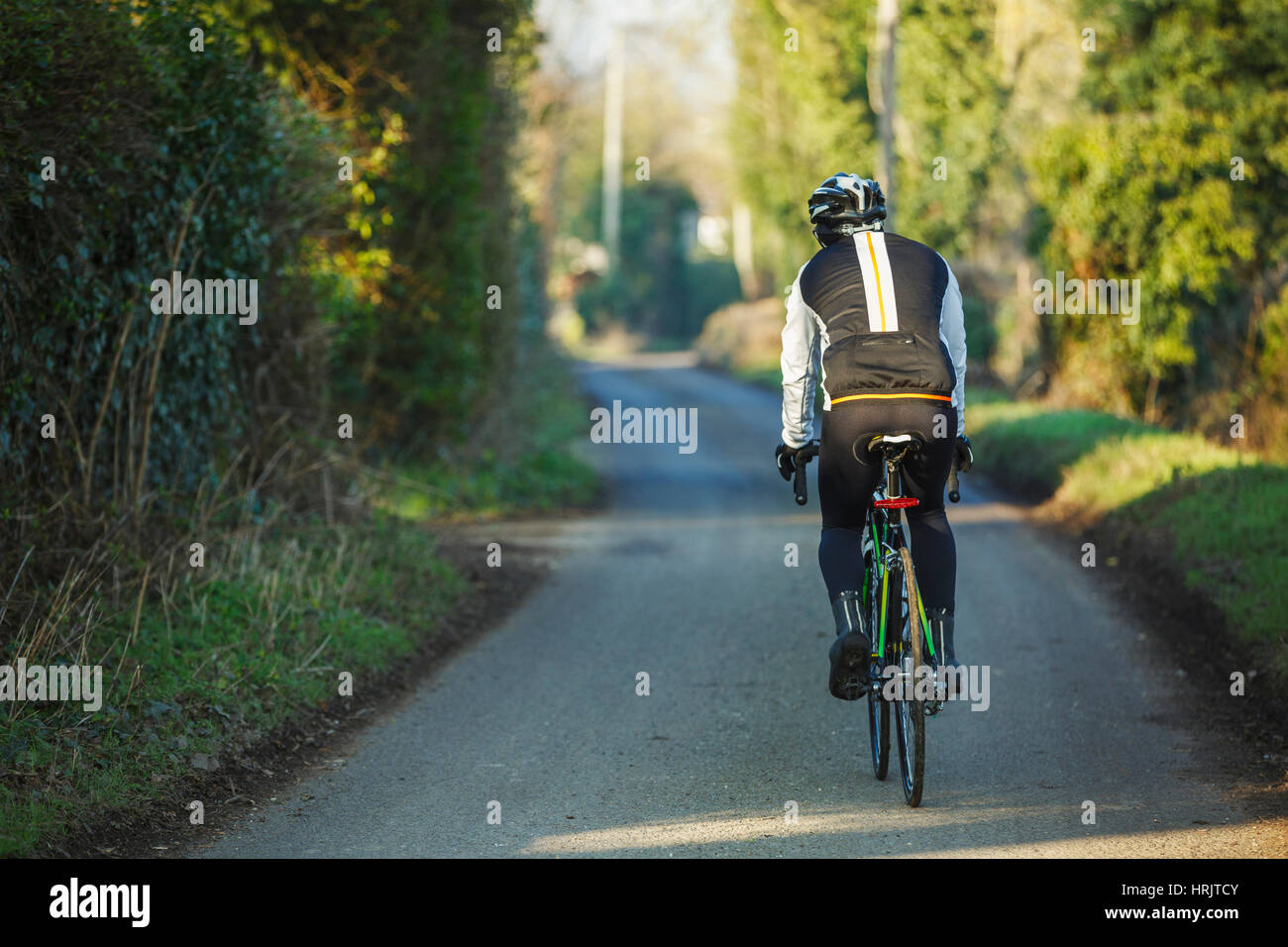A cyclist pedalling along a country road between hedges Stock Photo - Alamy
