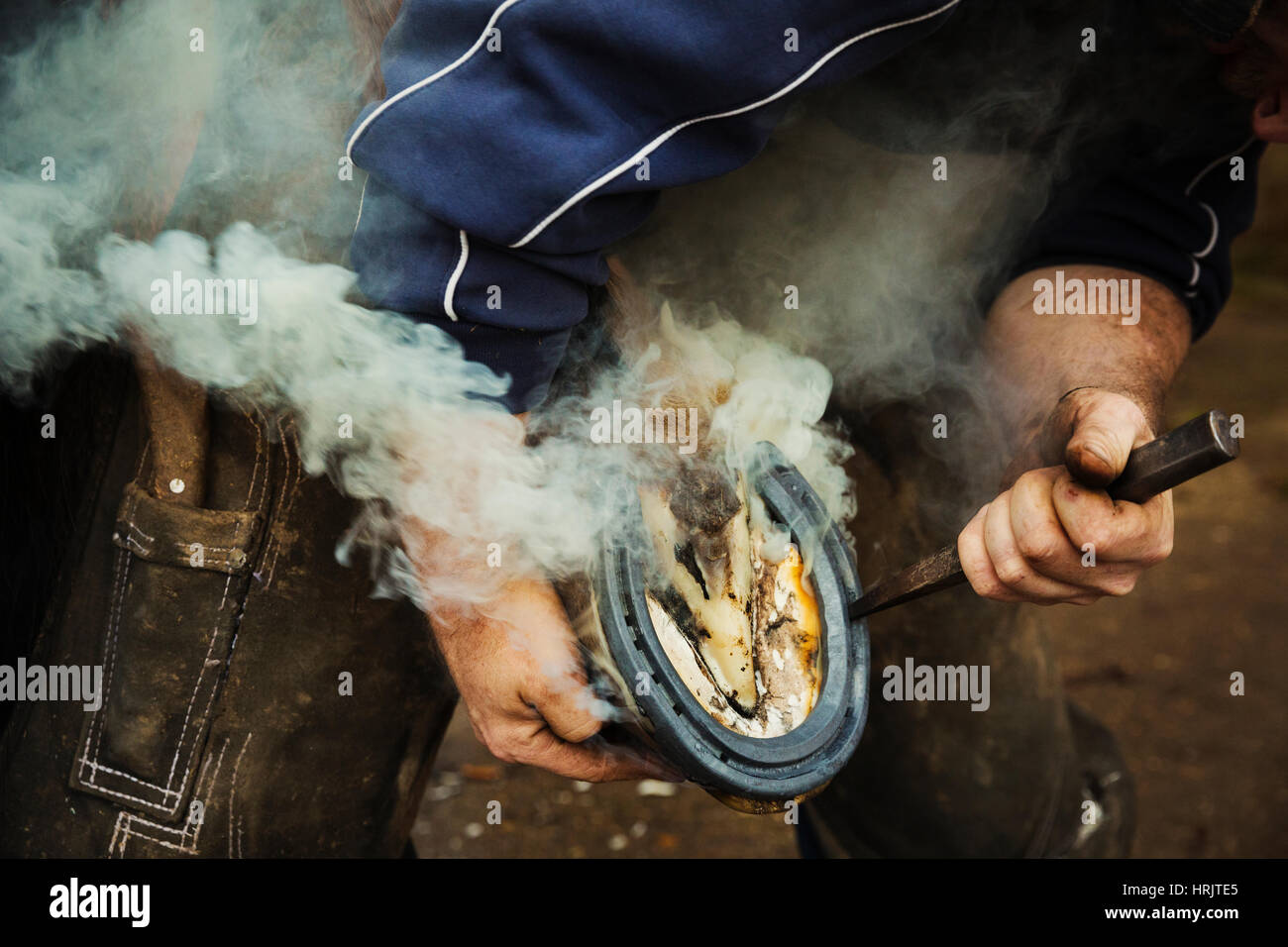 A farrier shoeing a horse, bending down and fitting a new horseshoe to ...
