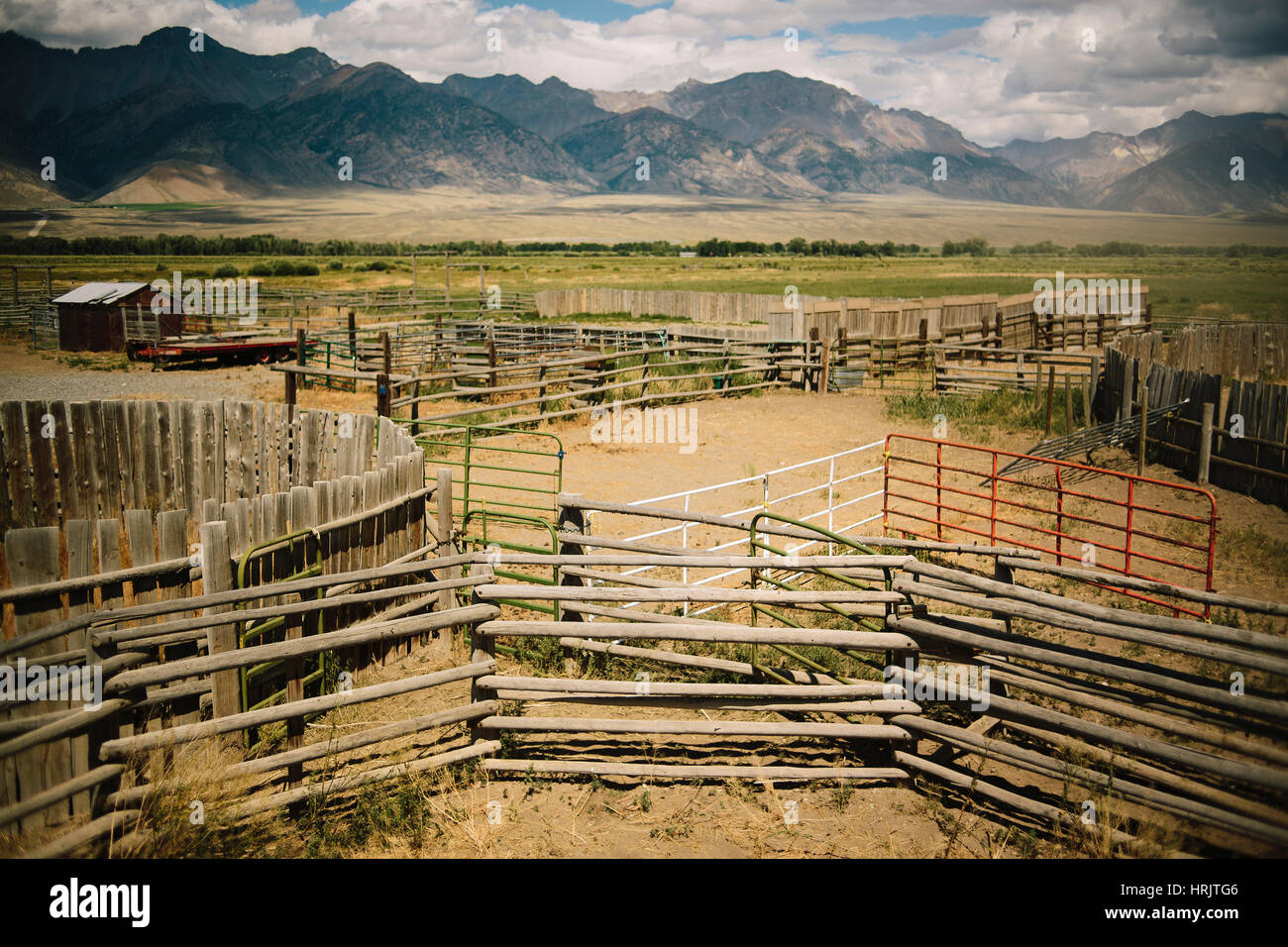 Cattle pens hi-res stock photography and images - Alamy