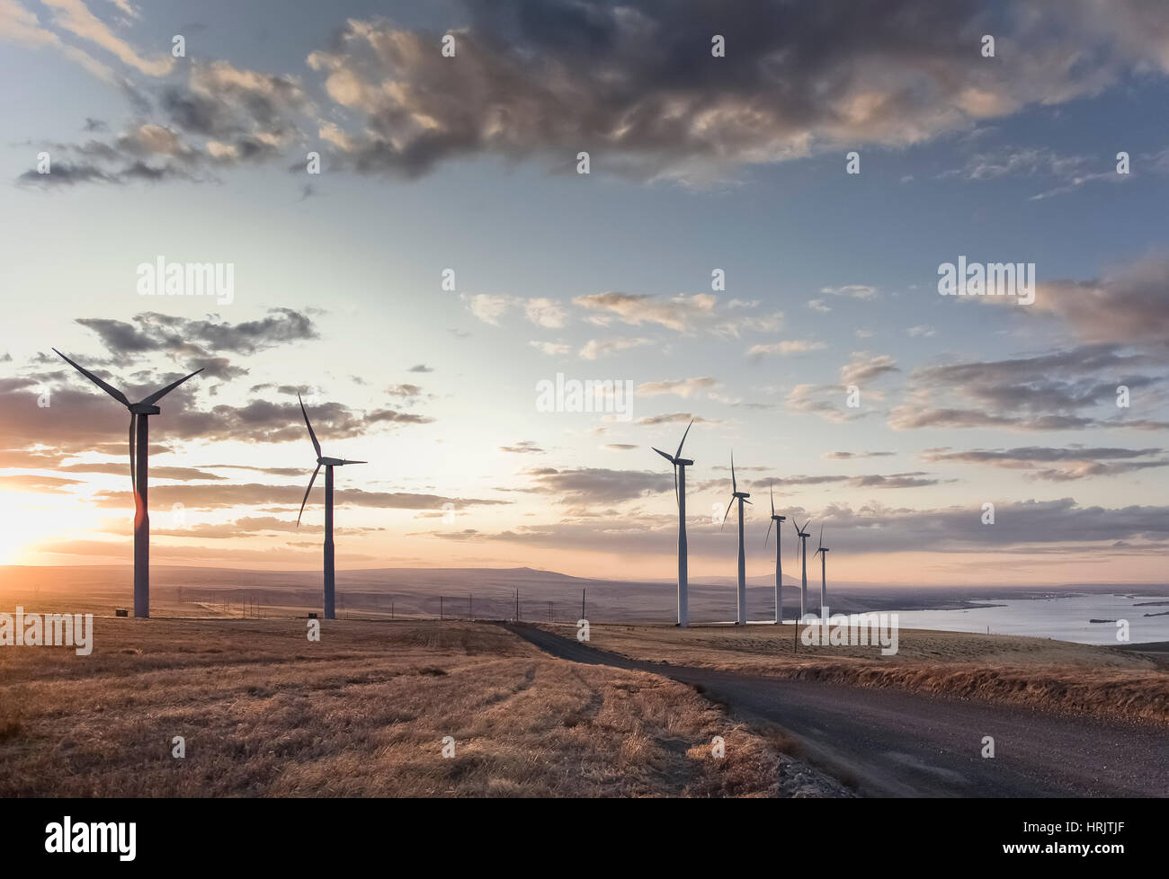 A group of wind turbines standing next to a road in a moorland ...