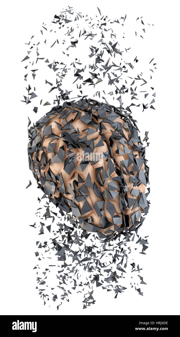 Shattered human brain. Stress concept. Isolated Stock Photo - Alamy