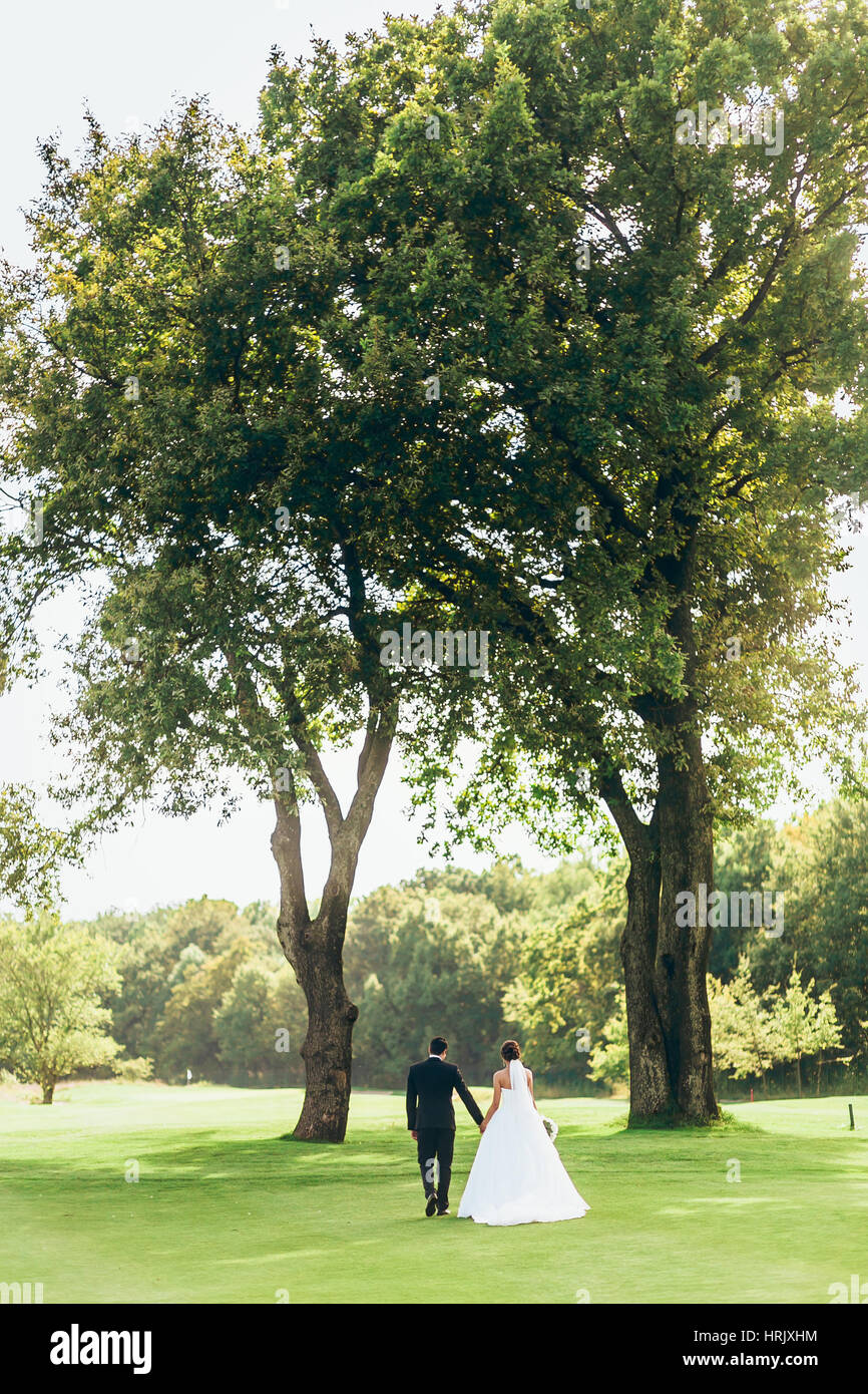 Wedding trees hi-res stock photography and images - Alamy