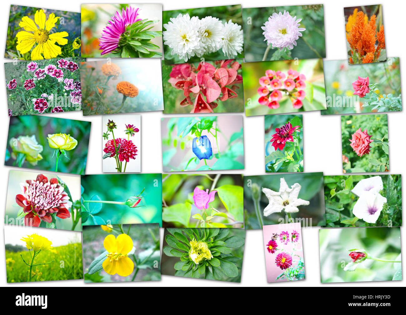 Collage technology hi-res stock photography and images - Alamy