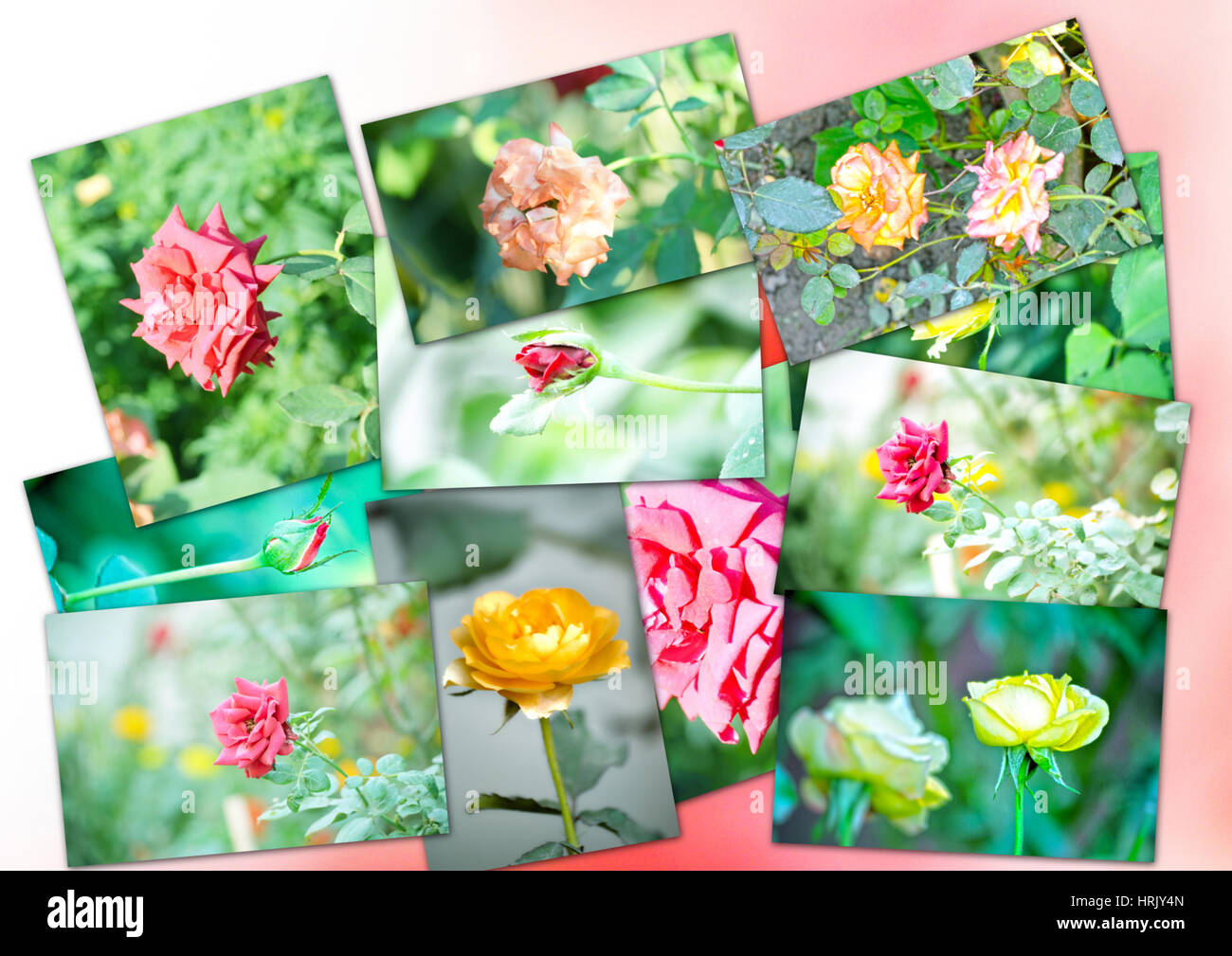 Collage technology hi-res stock photography and images - Alamy