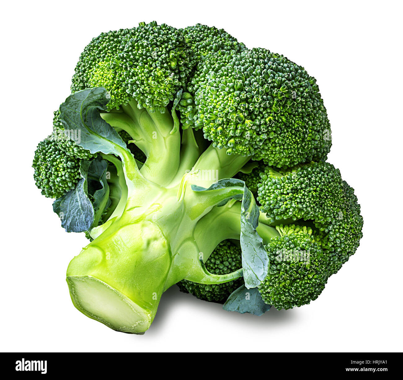 Broccoli isolated on white background Stock Photo - Alamy