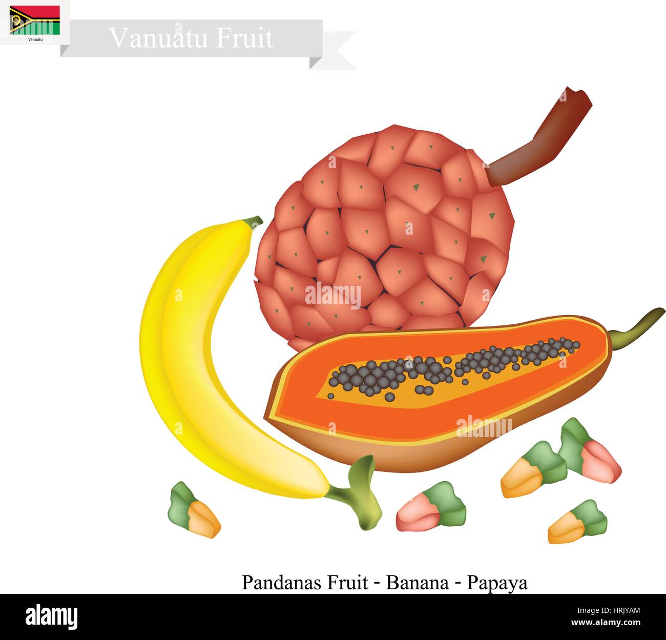 Vanuatu Fruit, Illustration of Papaya, Banana and Pandanas Fruits ...