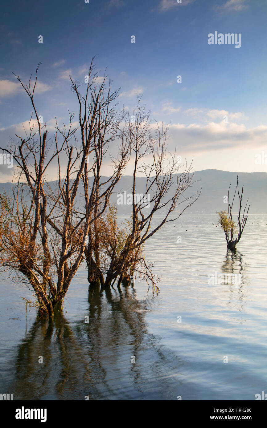 Dali lake china hi-res stock photography and images - Alamy