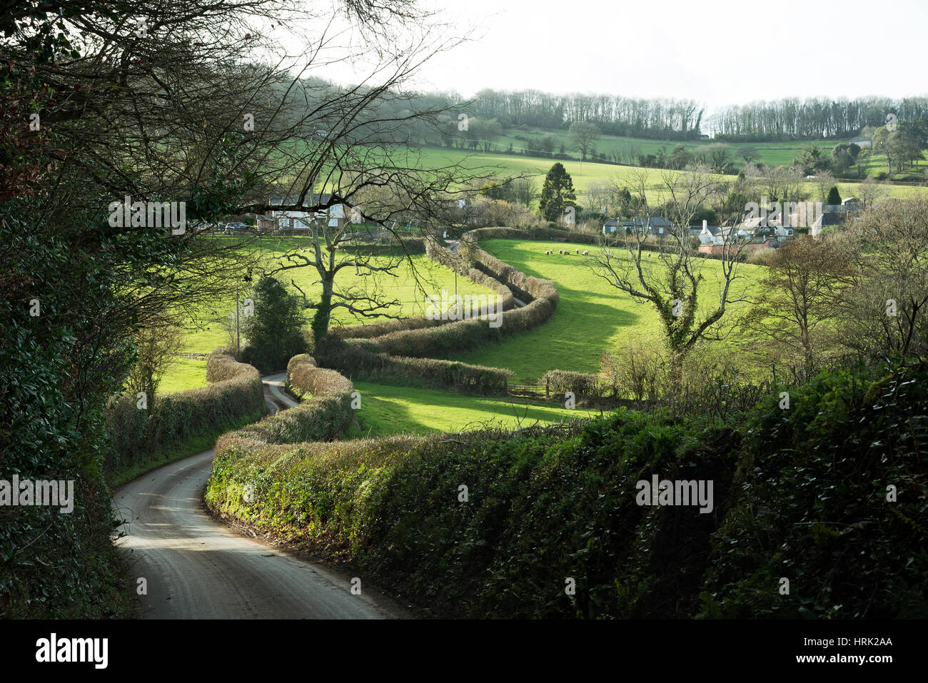 Devon_landscape hi-res stock photography and images - Alamy