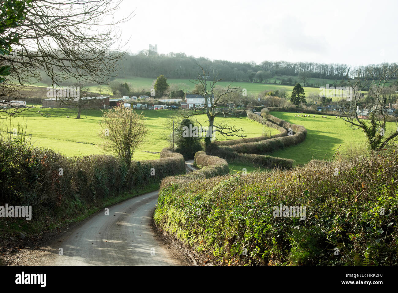 Winding country lane devon hi-res stock photography and images - Alamy