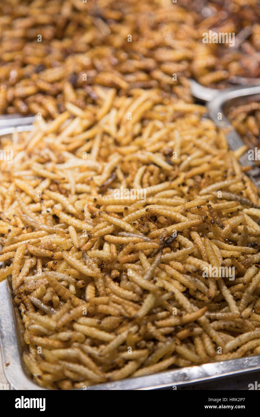 Insect grubs hi-res stock photography and images - Alamy