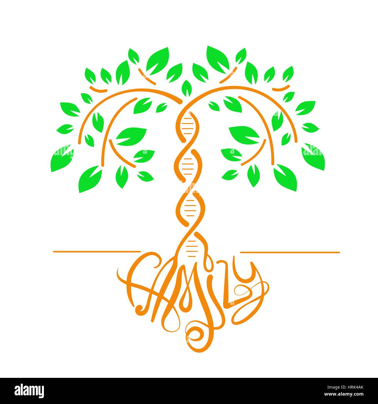 Gene family tree hi-res stock photography and images - Alamy
