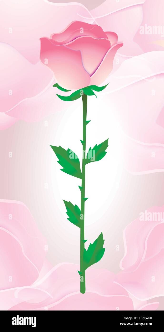 Beautiful pink rose for your design Stock Vector Image & Art - Alamy