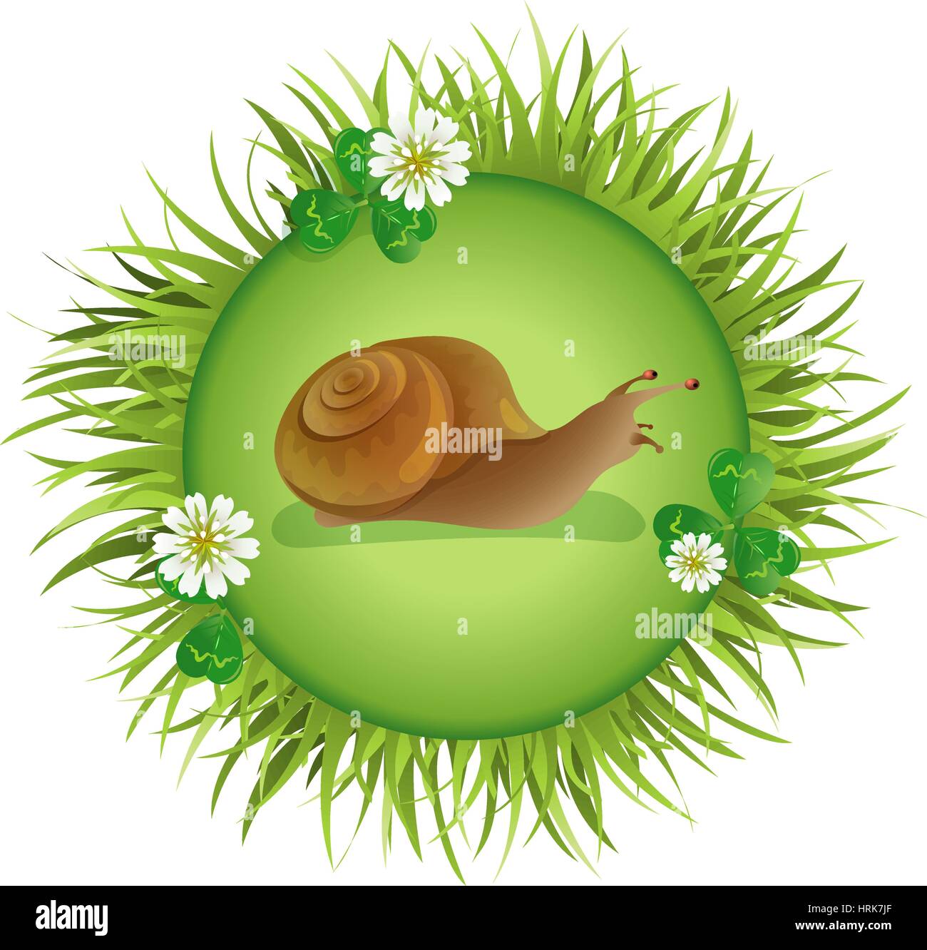 Insects and summer nature icon. snail crawling on the meadow Stock ...