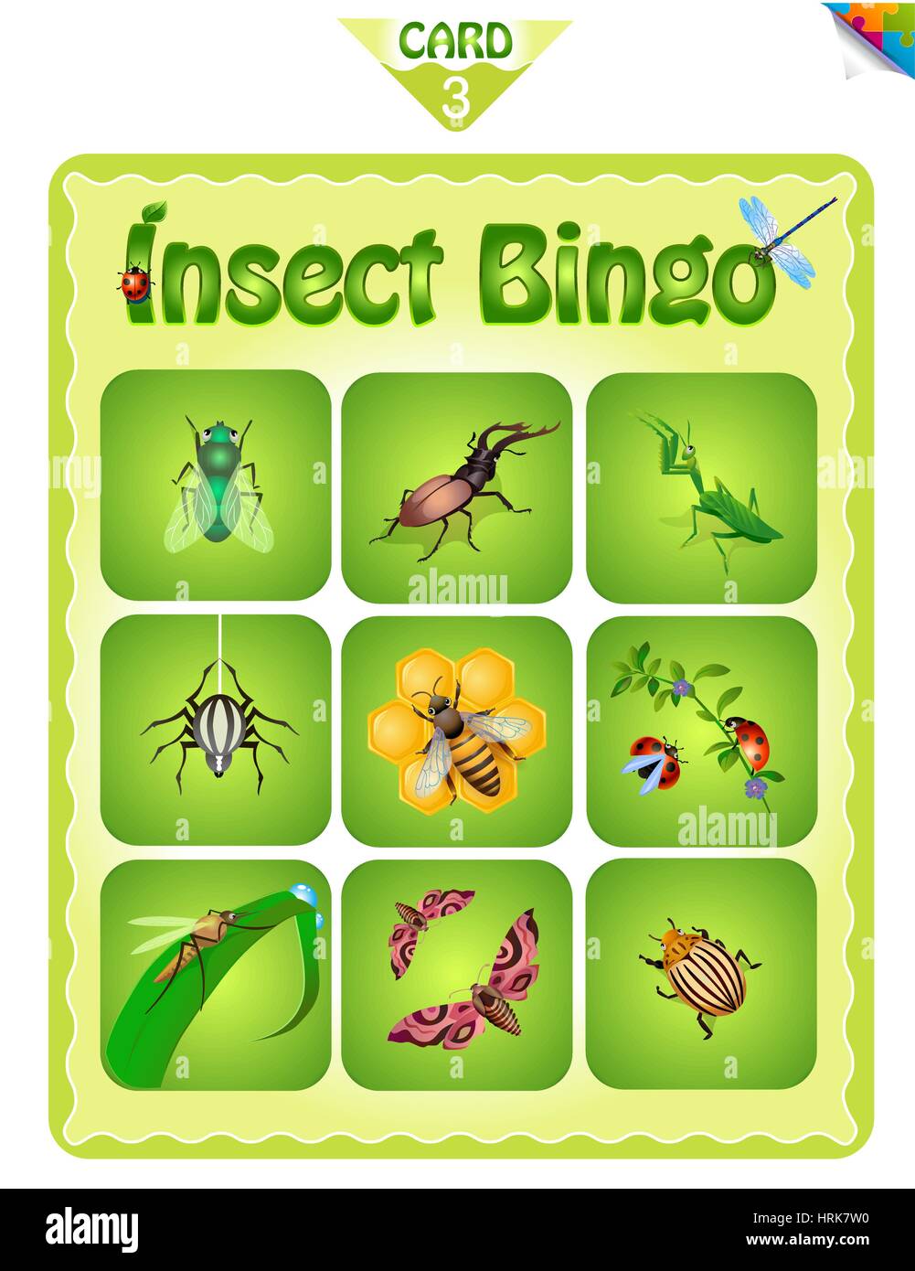 Printable educational bingo game for preschool kids with different ...