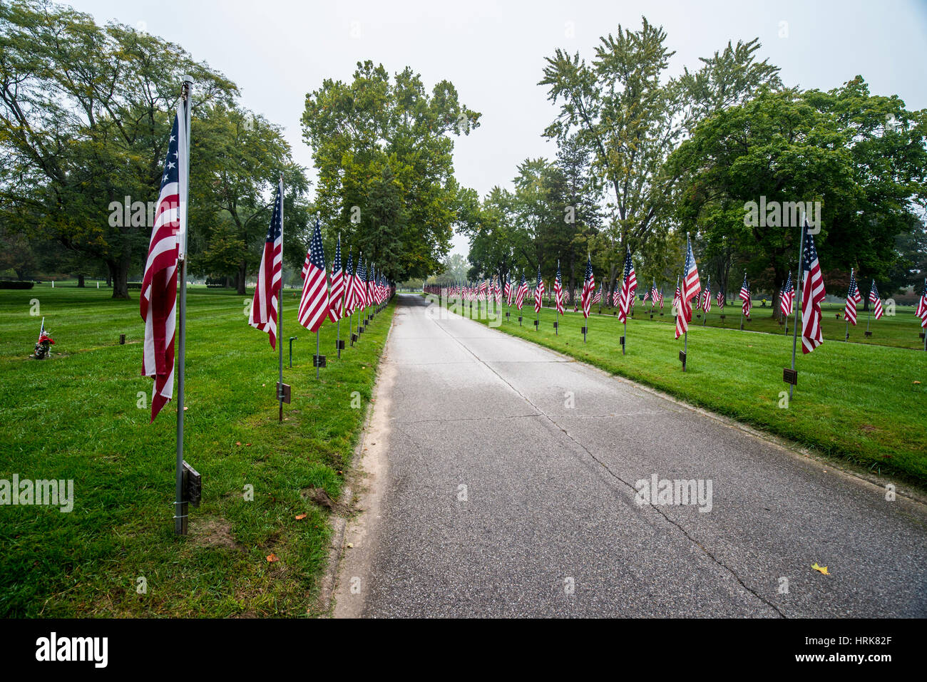 Street lined with american flags hi-res stock photography and images ...