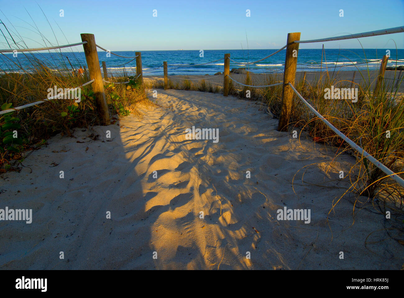 roped off beach sandy walkway to ocean Stock Photo - Alamy