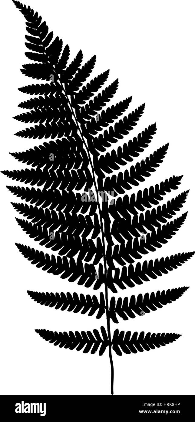Hawaiian Fern Silhouette