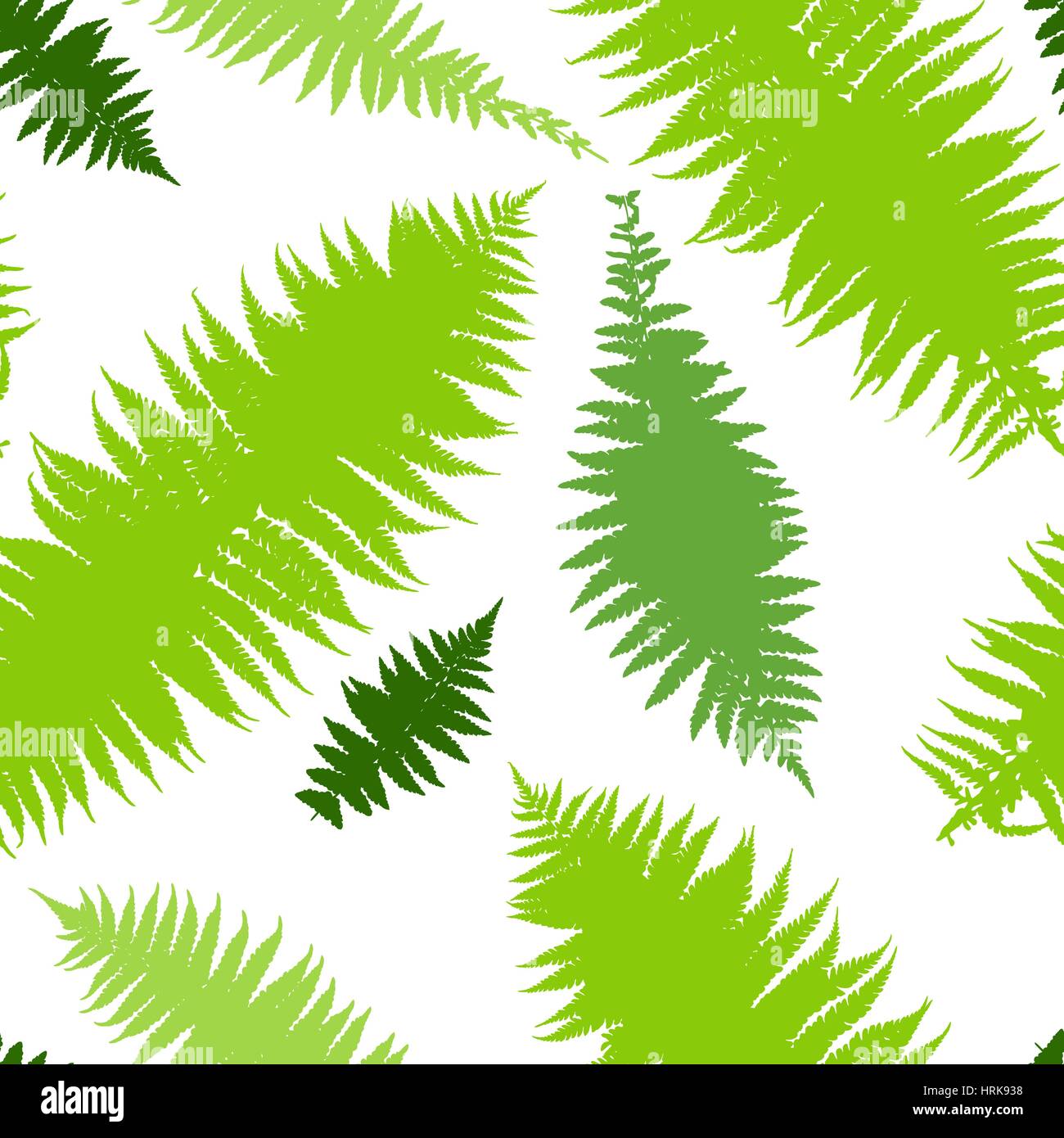Fern seamless pattern Stock Vector Image & Art - Alamy