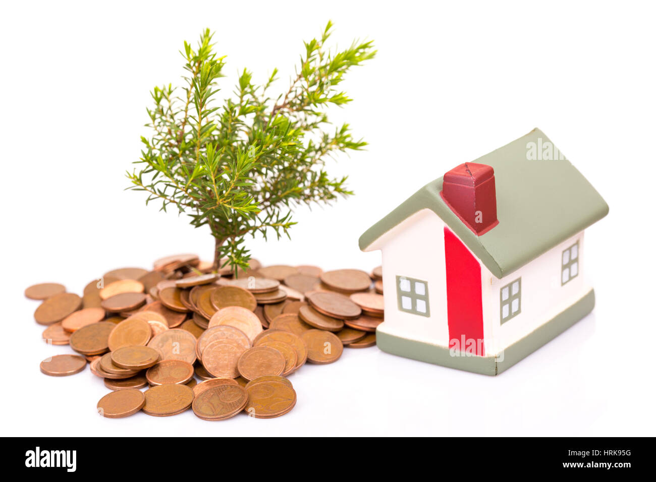 Coins, house and plant isolated on white background Stock Photo - Alamy