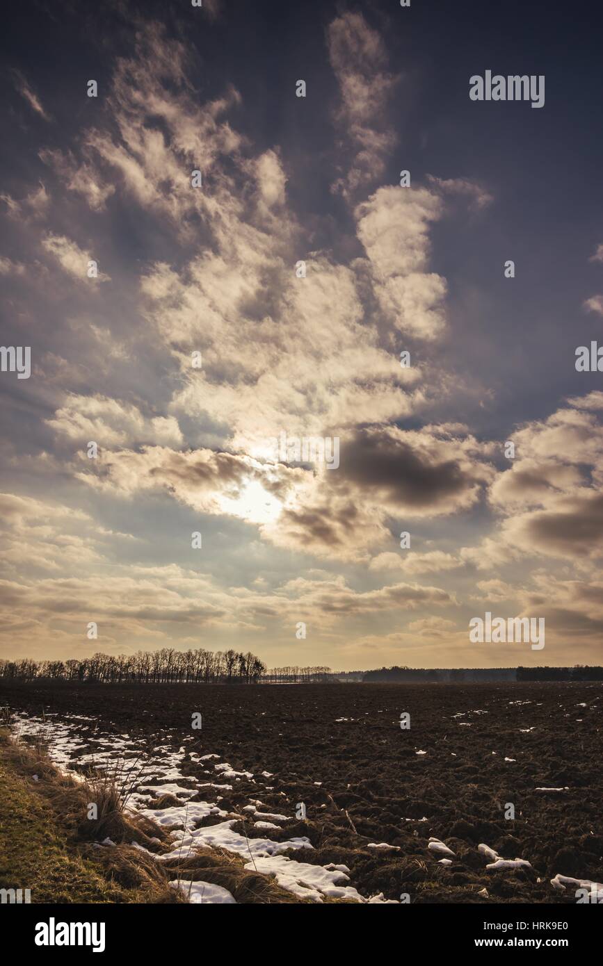 Vertical photo of early spring landscape with dramatic cloudy blue sky ...
