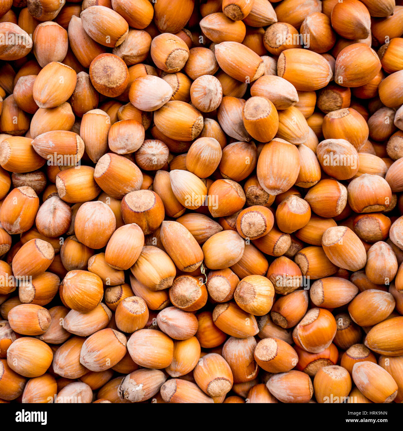 Nuts. nuts background pattern. Texture Stock Photo - Alamy