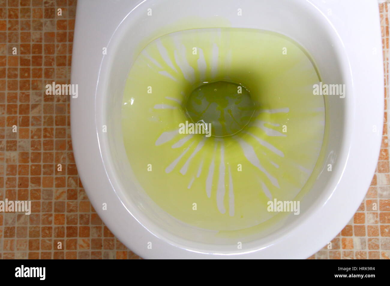 Domestic toilet or lavatory bowl with freshly dispensed bleach cleaner ...