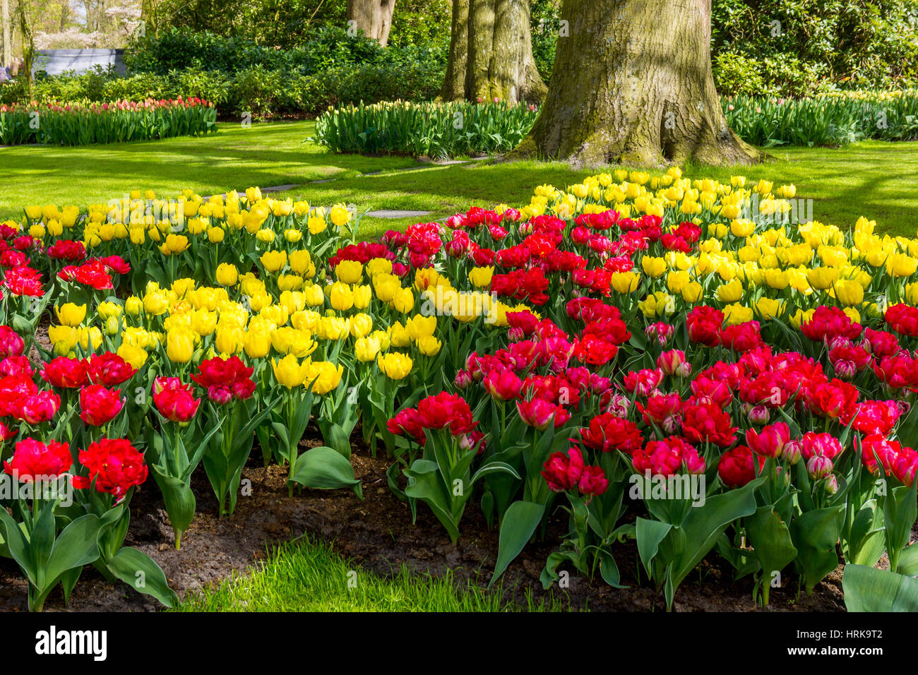 Spring Formal Garden. Beautiful garden of colorful flowers Stock Photo ...