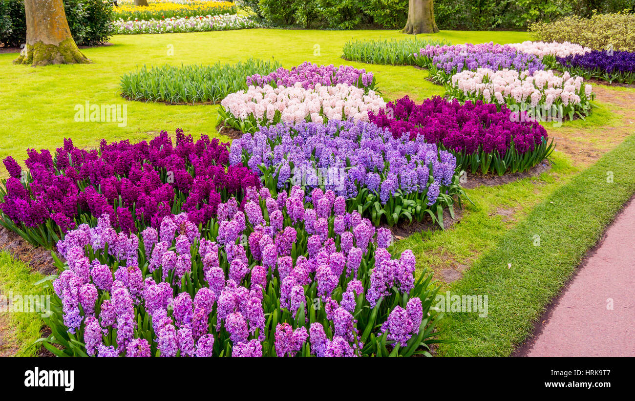 Spring Formal Garden. Beautiful garden of colorful flowers Stock Photo ...