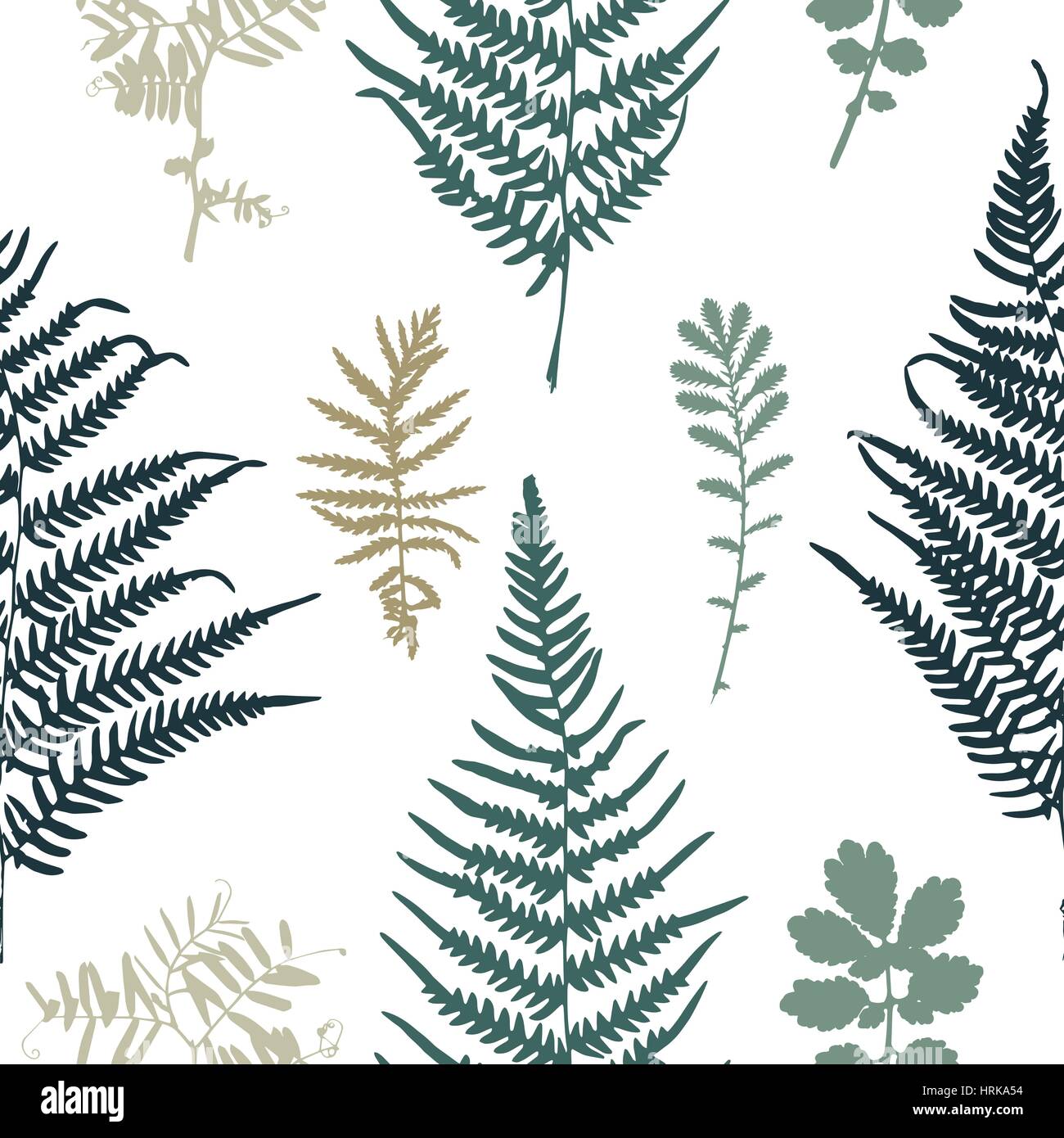 Vector illustration of fern seamless pattern Stock Vector Image & Art - Alamy