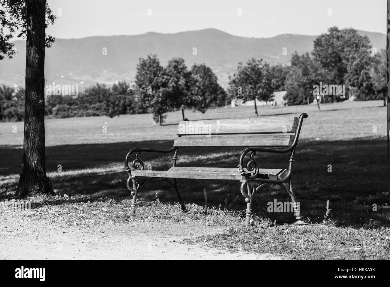 Lonely bench in Park Wilderness Stock Photo - Alamy