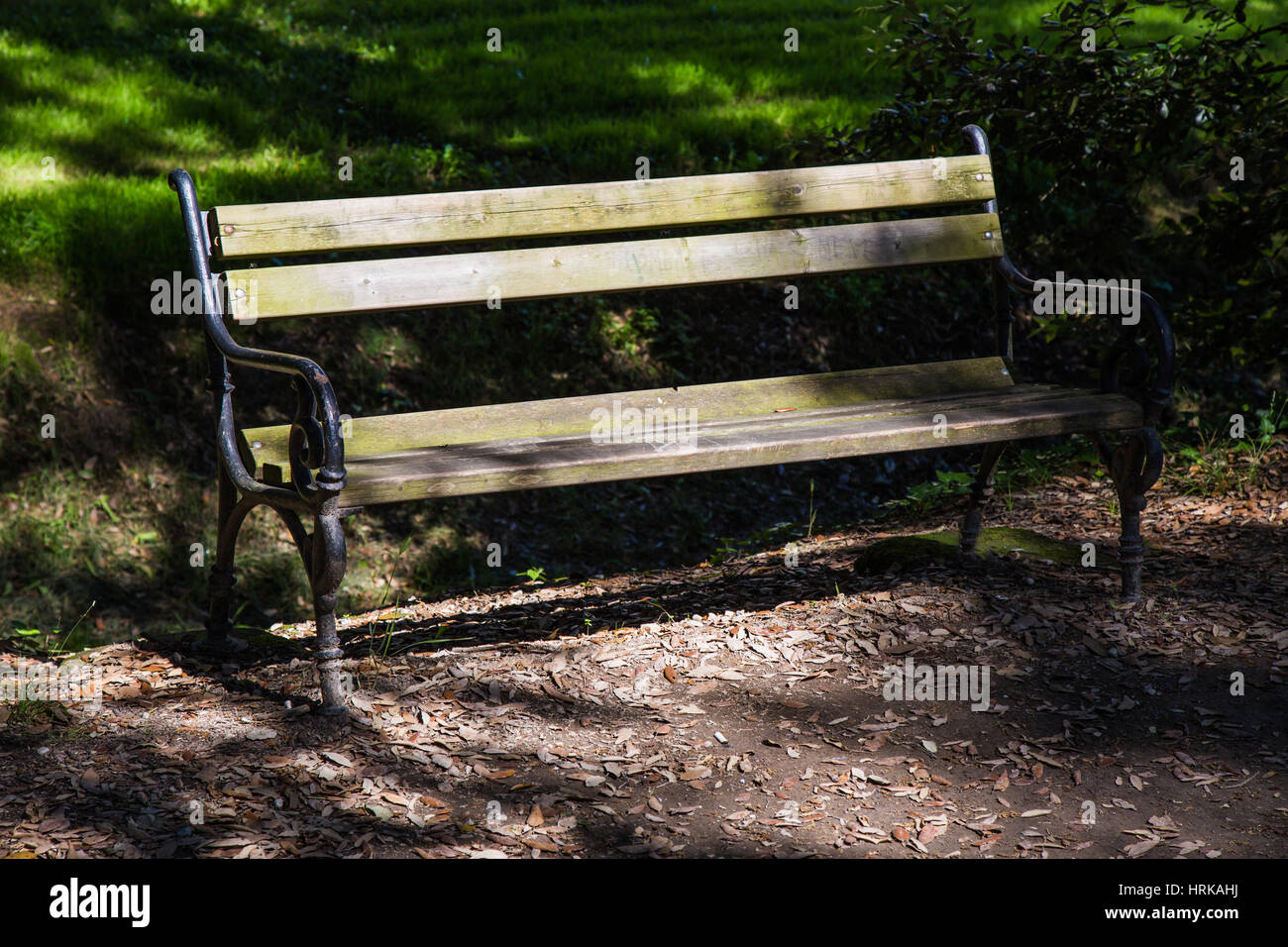 Lonely bench in Park Wilderness Stock Photo - Alamy