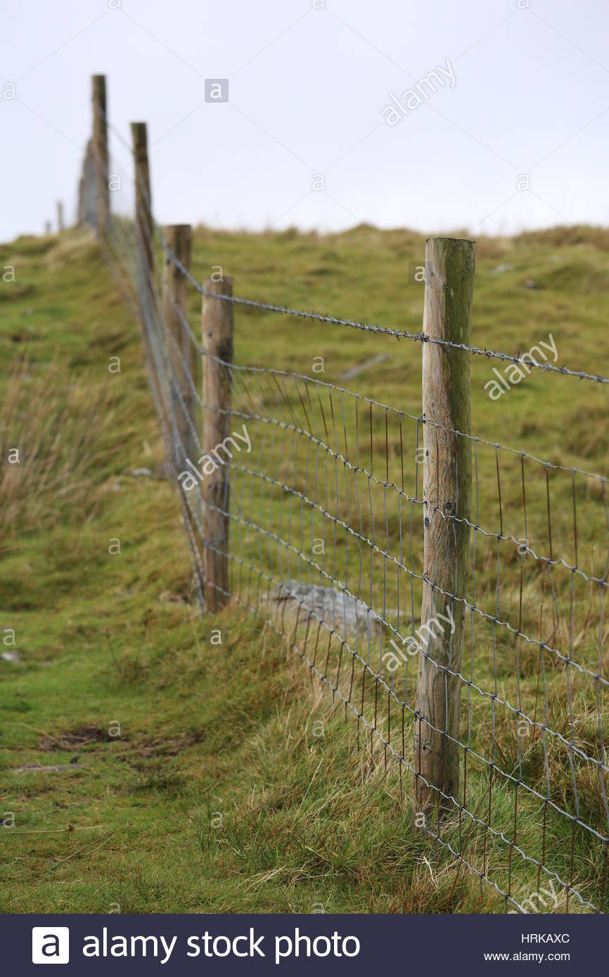 Old irish border hi-res stock photography and images - Alamy