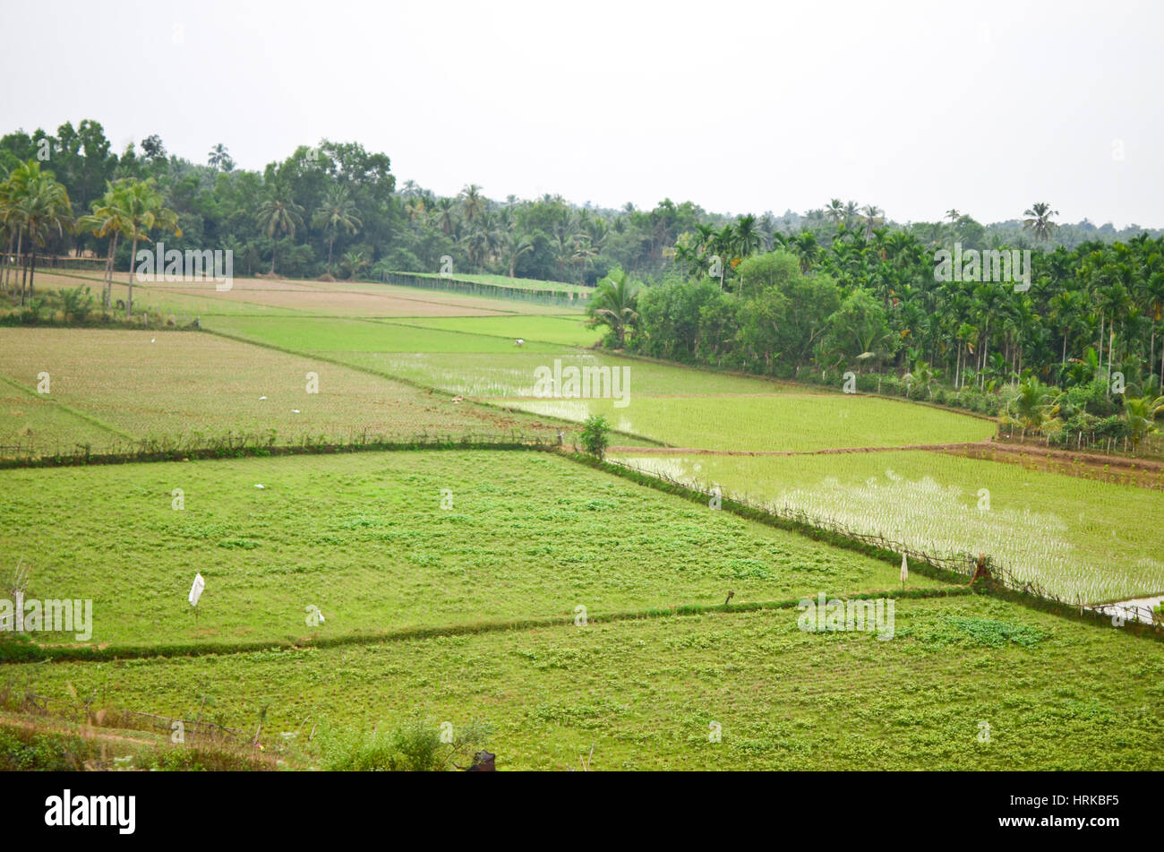 Beautiful landscape of rural India. Scene captured during travel by ...