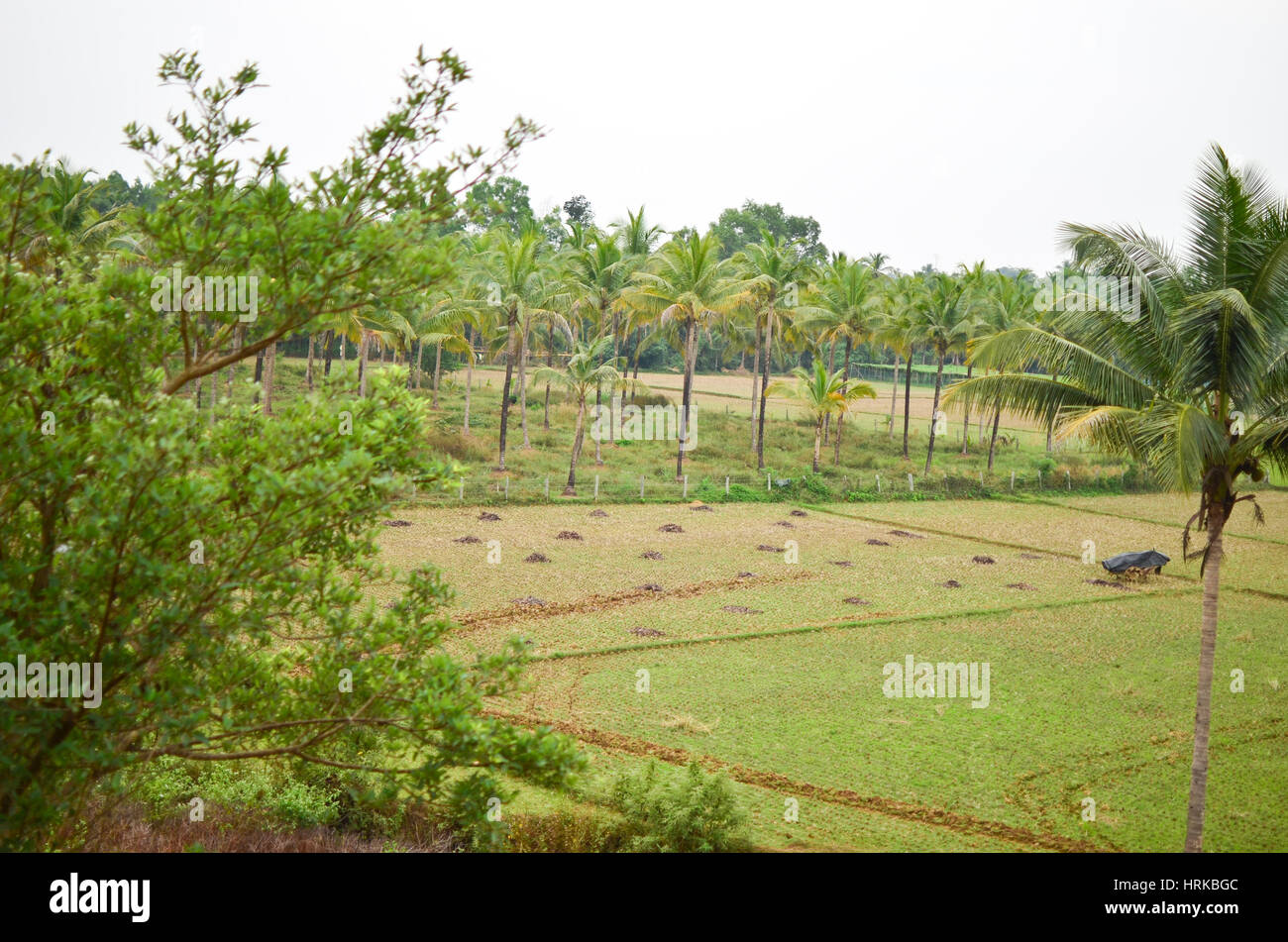 Beautiful landscape of rural India. Scene captured during travel by ...