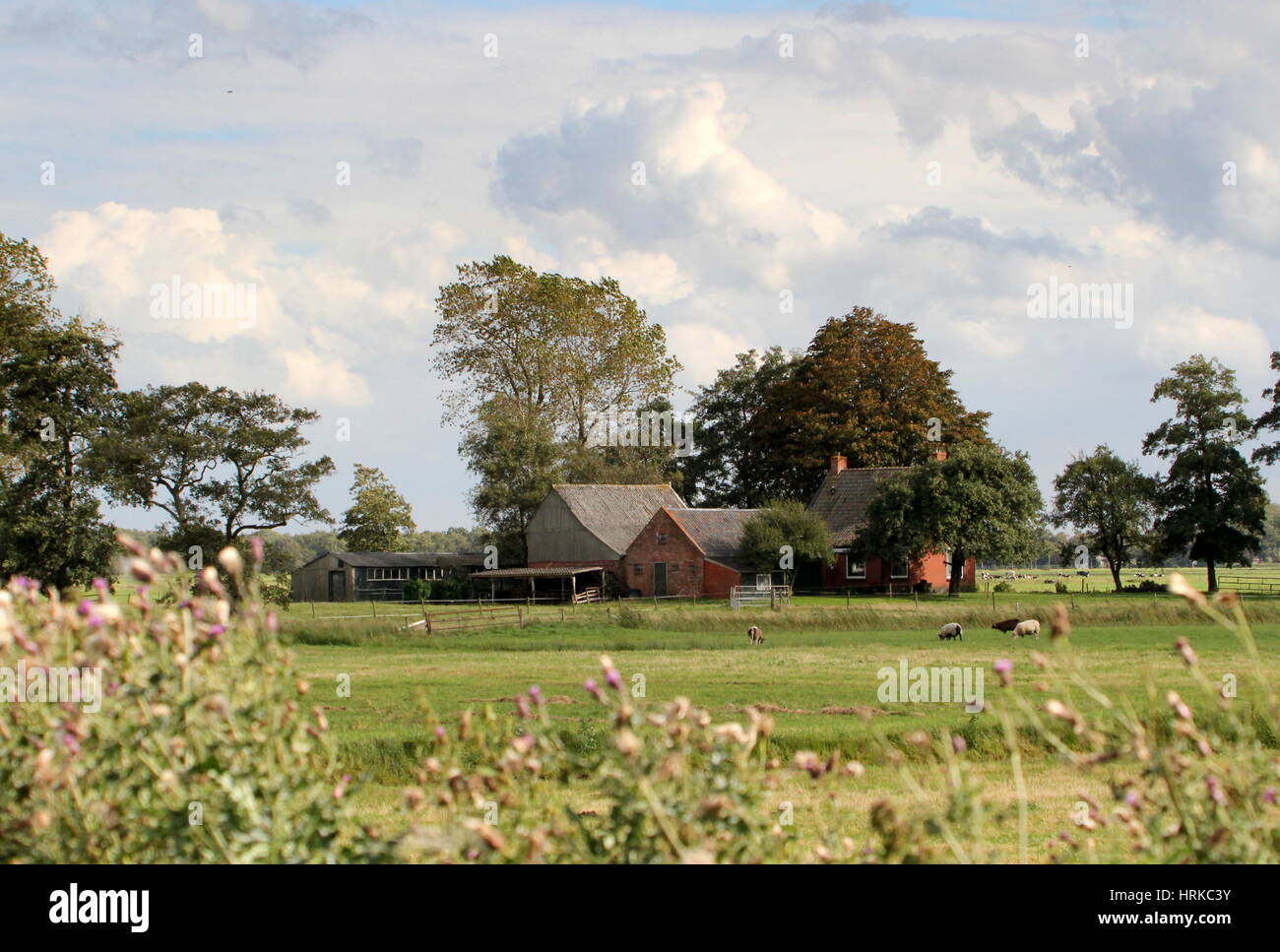 Farm traditional groningen agriculture hi-res stock photography and ...