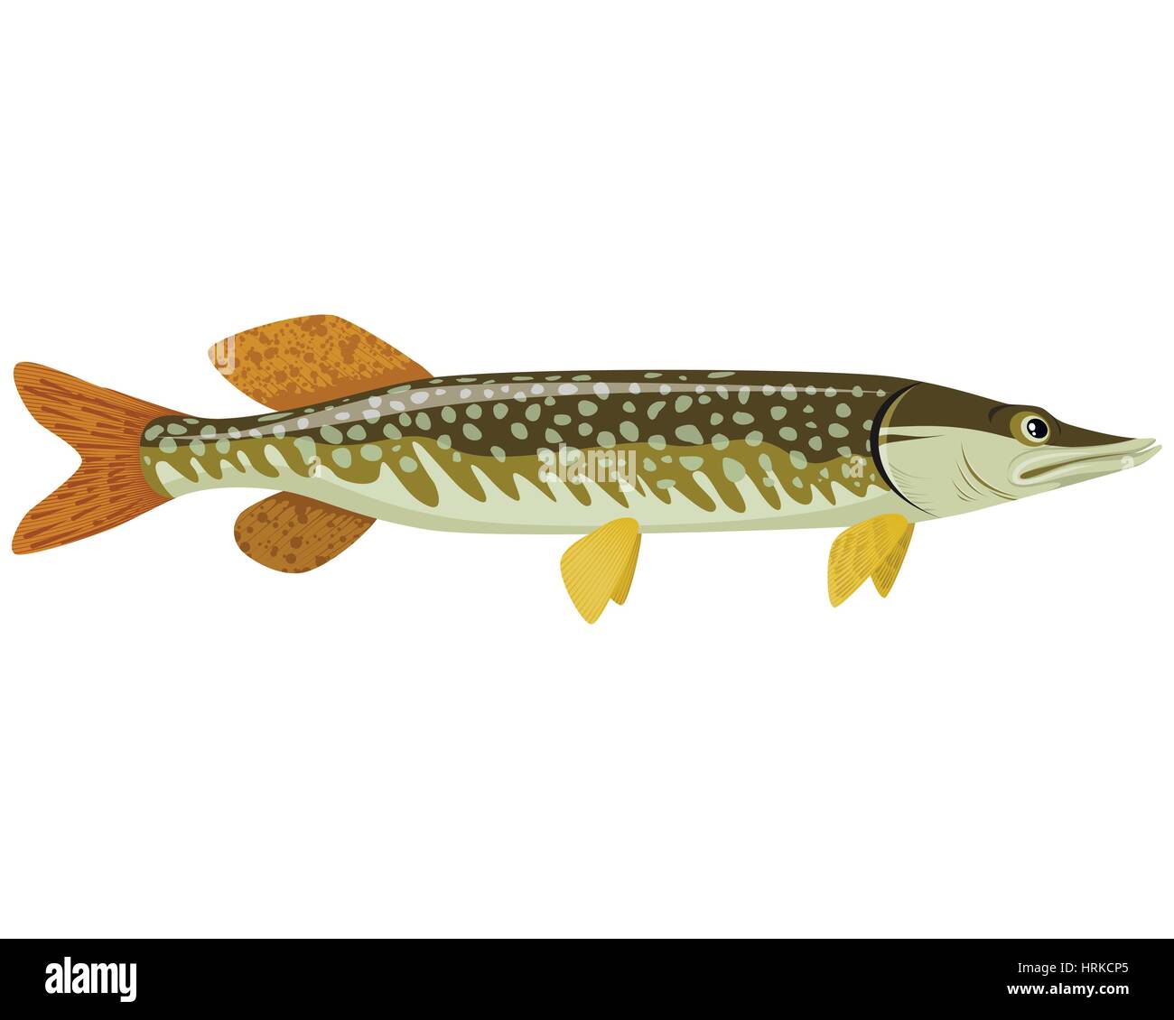 Big lake in green Stock Vector Images - Alamy