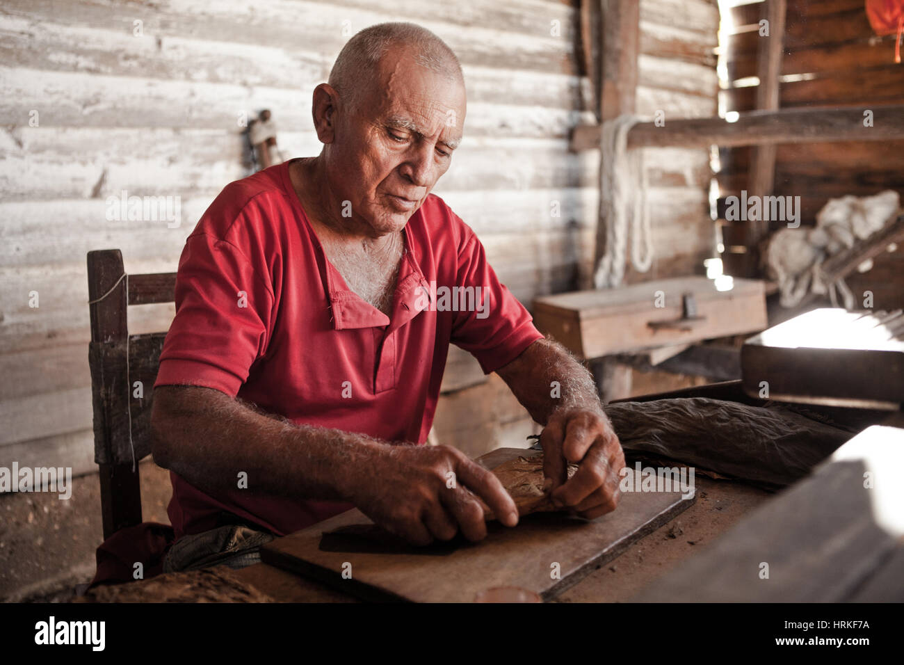 Pinar del Rio, Cuba - December 15, 2016: Alejandro Robaina Tobacco ...