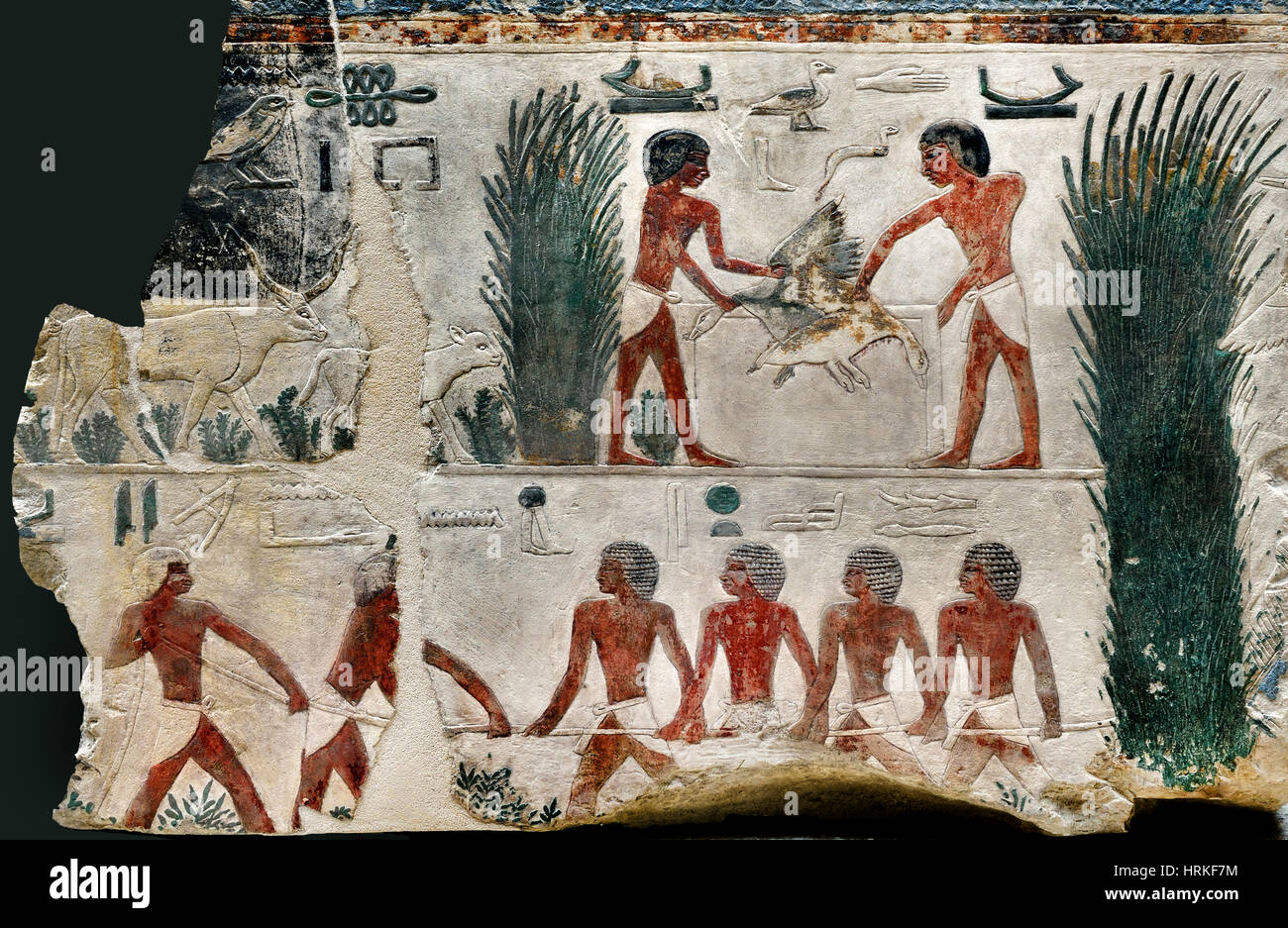 Egyptian hieroglyphics fishing hi-res stock photography and images - Alamy