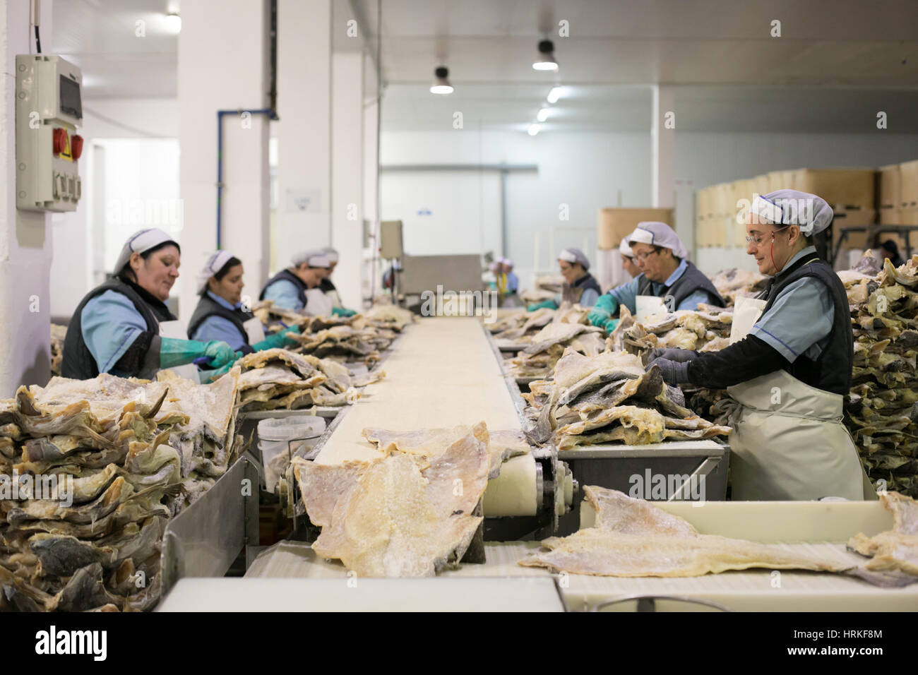 Workers preparing the traditional salted and dried cod at Riberalves a ...