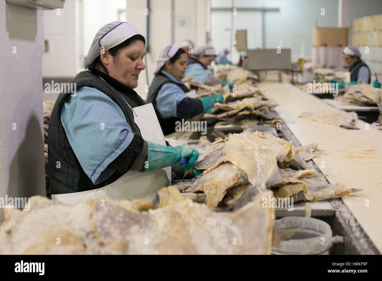 Workers preparing the traditional salted and dried cod at Riberalves a ...