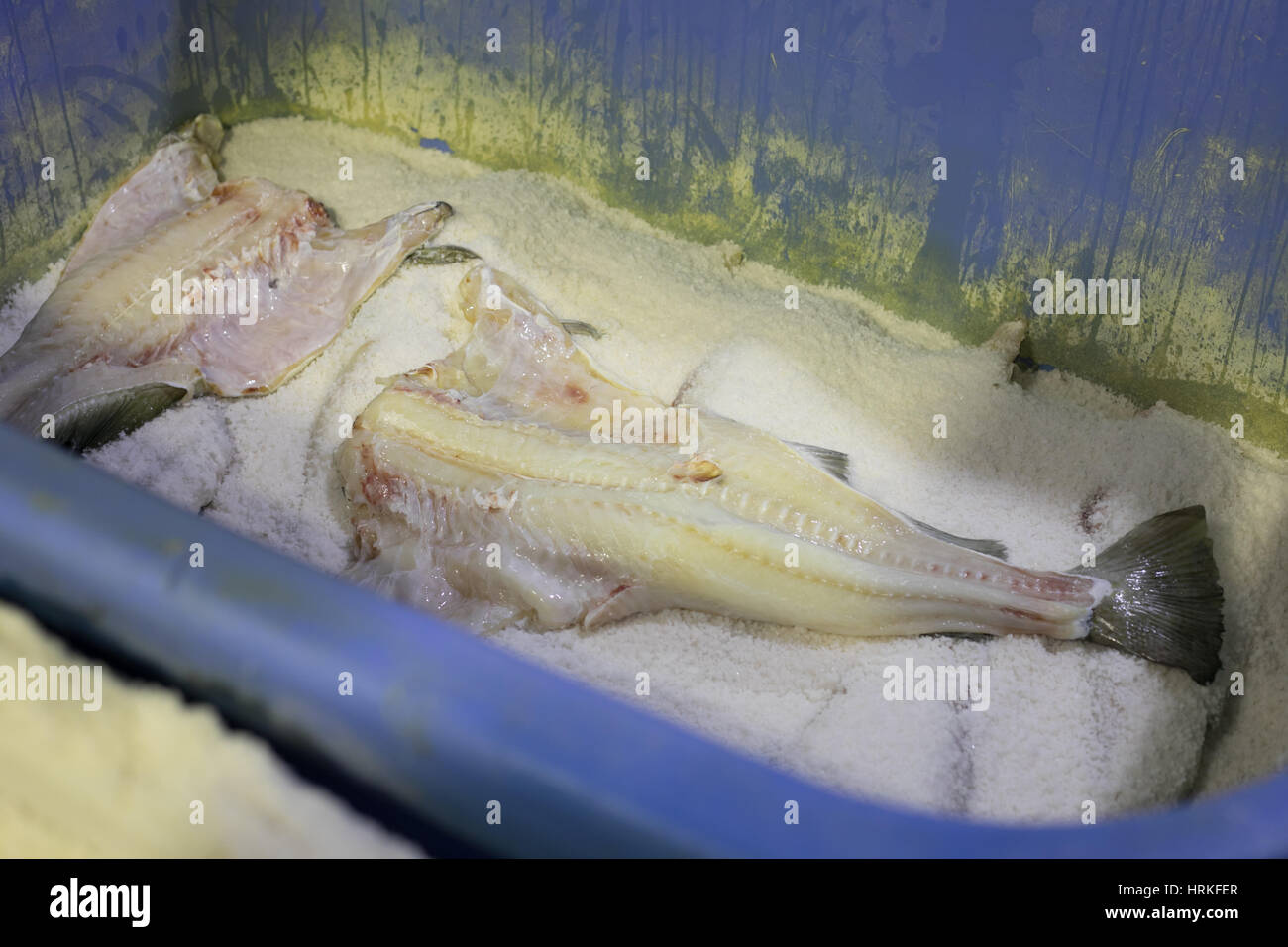 Frozen fish and factory hi-res stock photography and images - Alamy