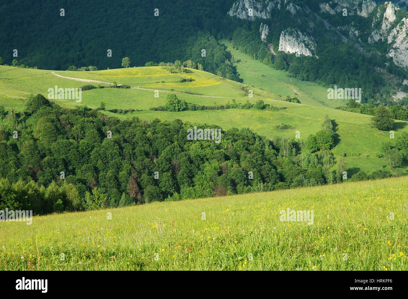 Spring landscape in the mountains Stock Photo - Alamy